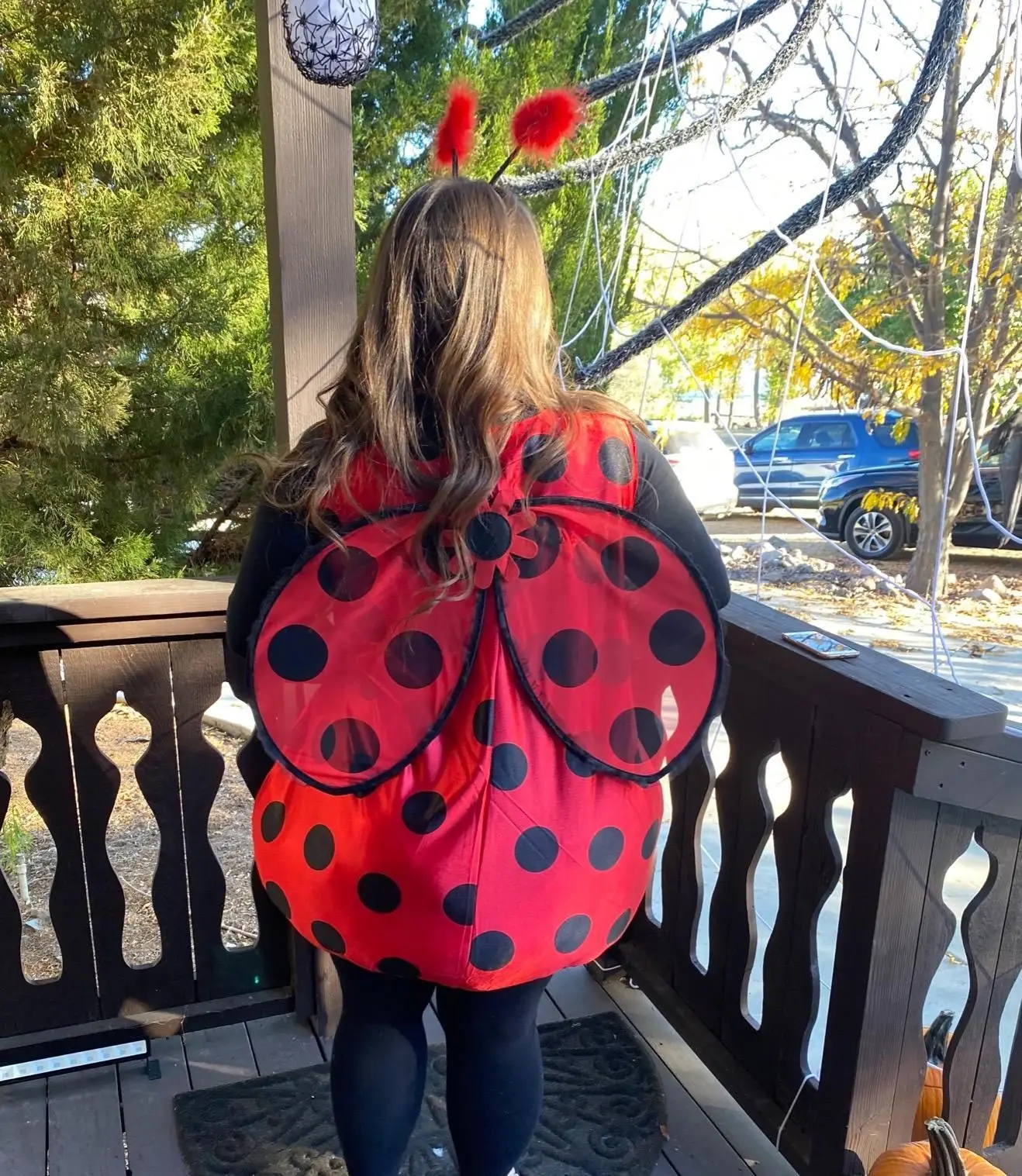 Homemade Ladybug Costume For Women