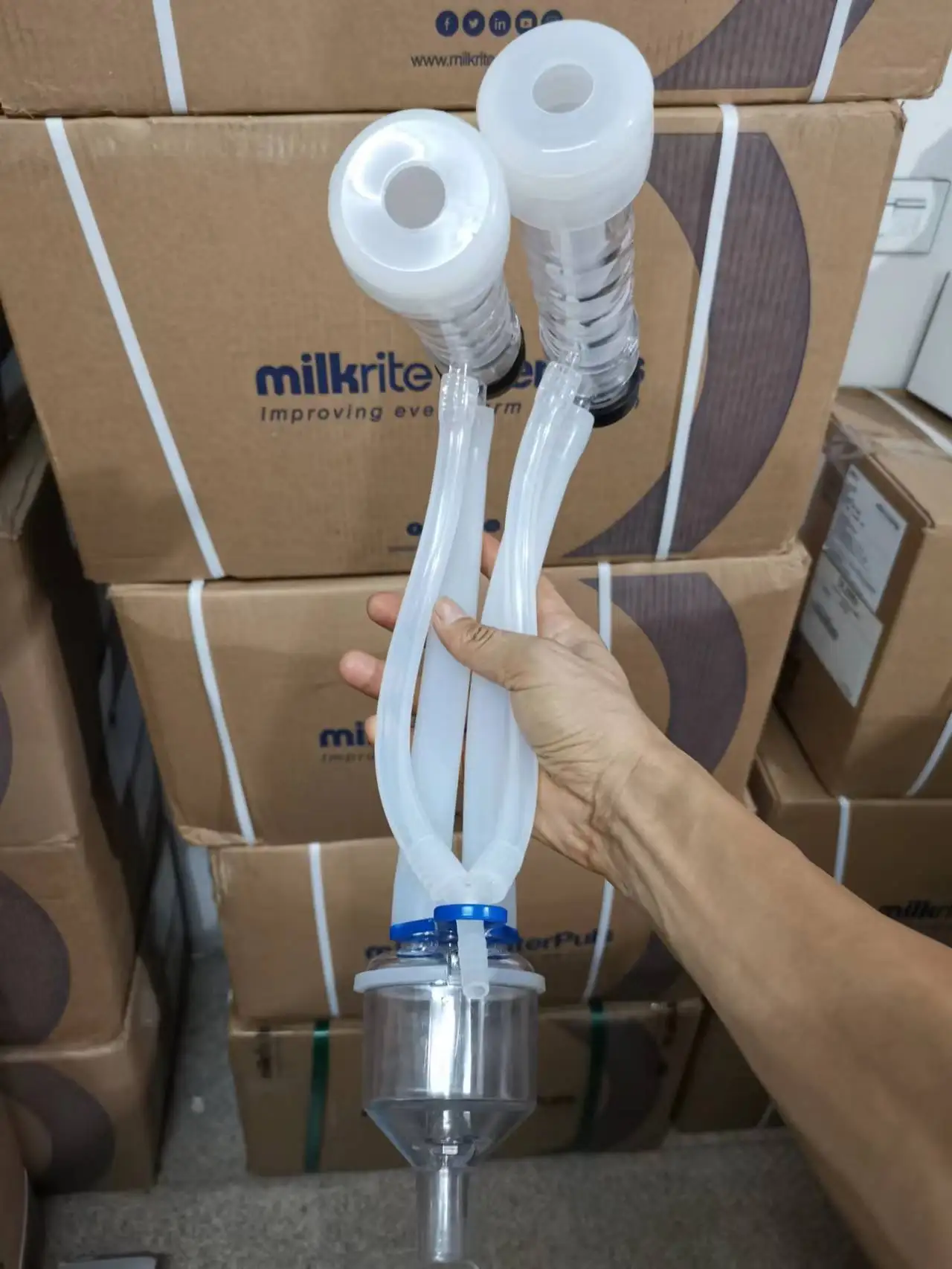 Goat Milking Cluster/sheep Milking Unit Italy Style For Dairy Milking ...