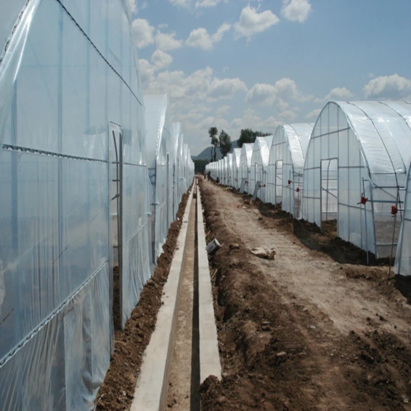 Pel-cula-de-invernadero-agr-cola-lona-transparente-para-cultivos-agr ...