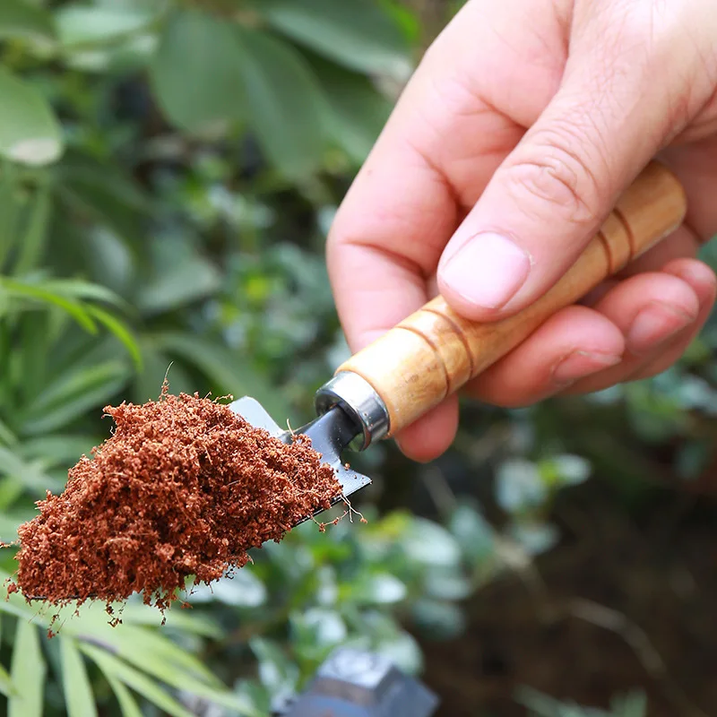 Pelle de jardinage en fer avec manche en bois outil à main de ...