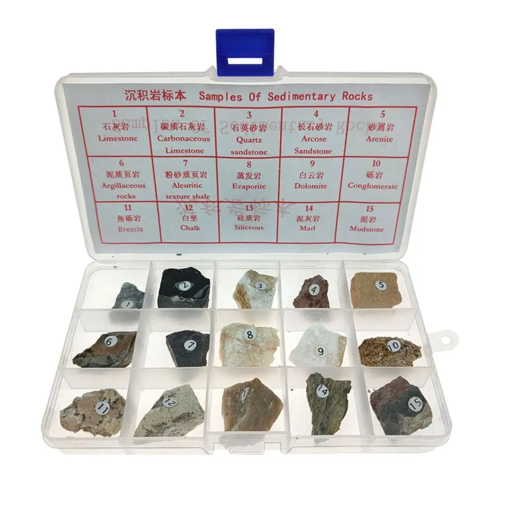 15-Pieces-Sedimentary-Rock-Specimen-Mineral-Rock-Stone-Collection-Kit ...