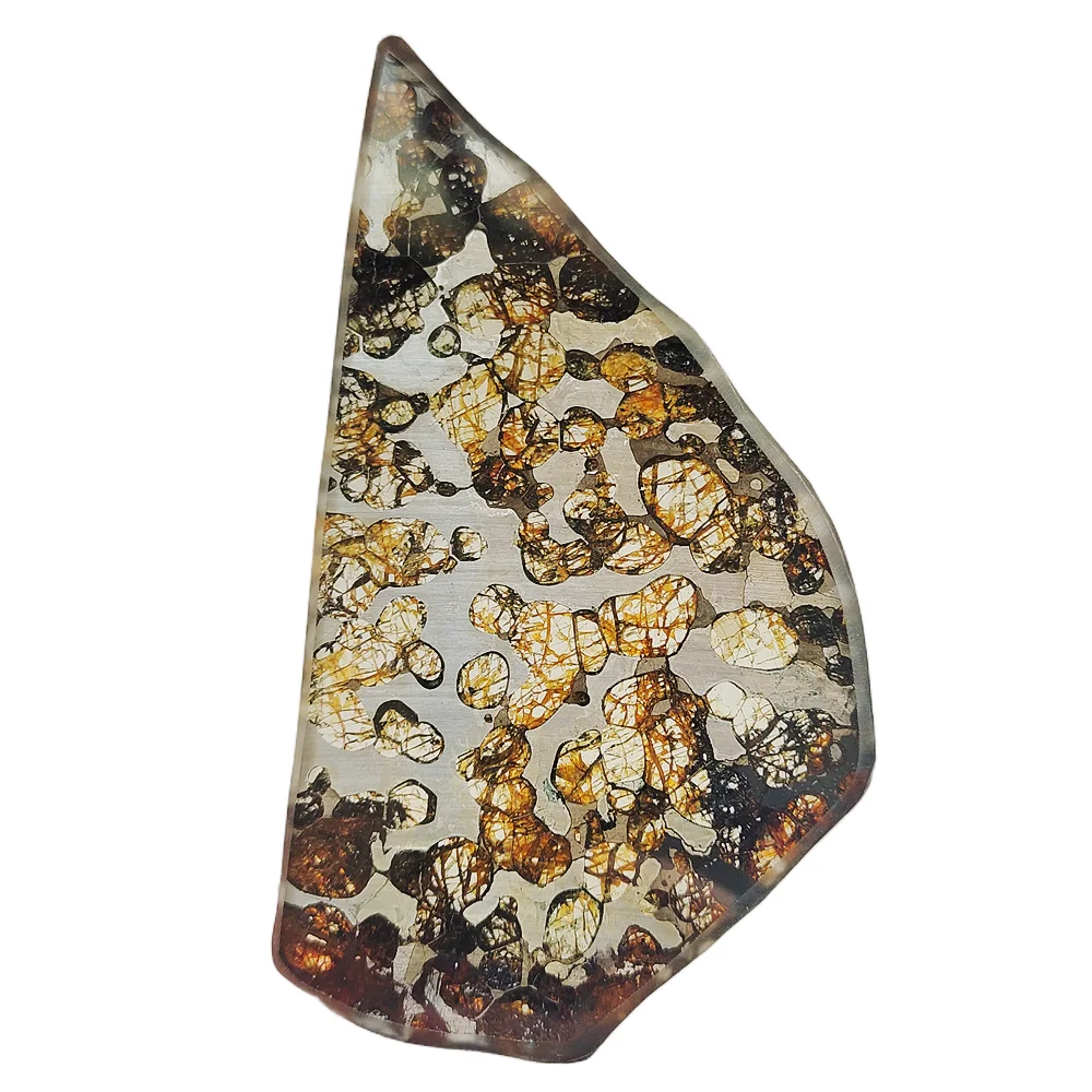 Olive Meteorite Specimen Brenham Olive Meteorite Section Natural ...