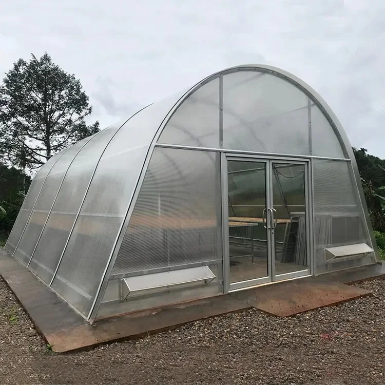 Solar Dehydrator Machine: A Comprehensive Review and Guide for ...