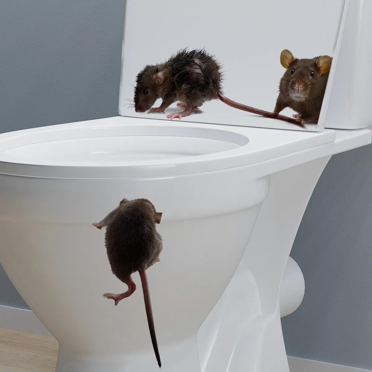 Black-Scared-Rat-Mouse-Funny-Toilet-Stickers-Bathroom-Decoration-Decal ...