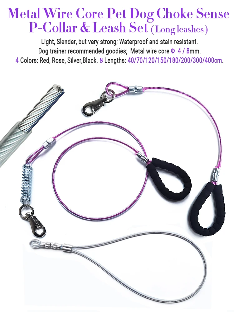 Metal-Wire-Pet-Dog-P-Collar-Leash-Set-Training-Choke-Strap-Harnesse ...