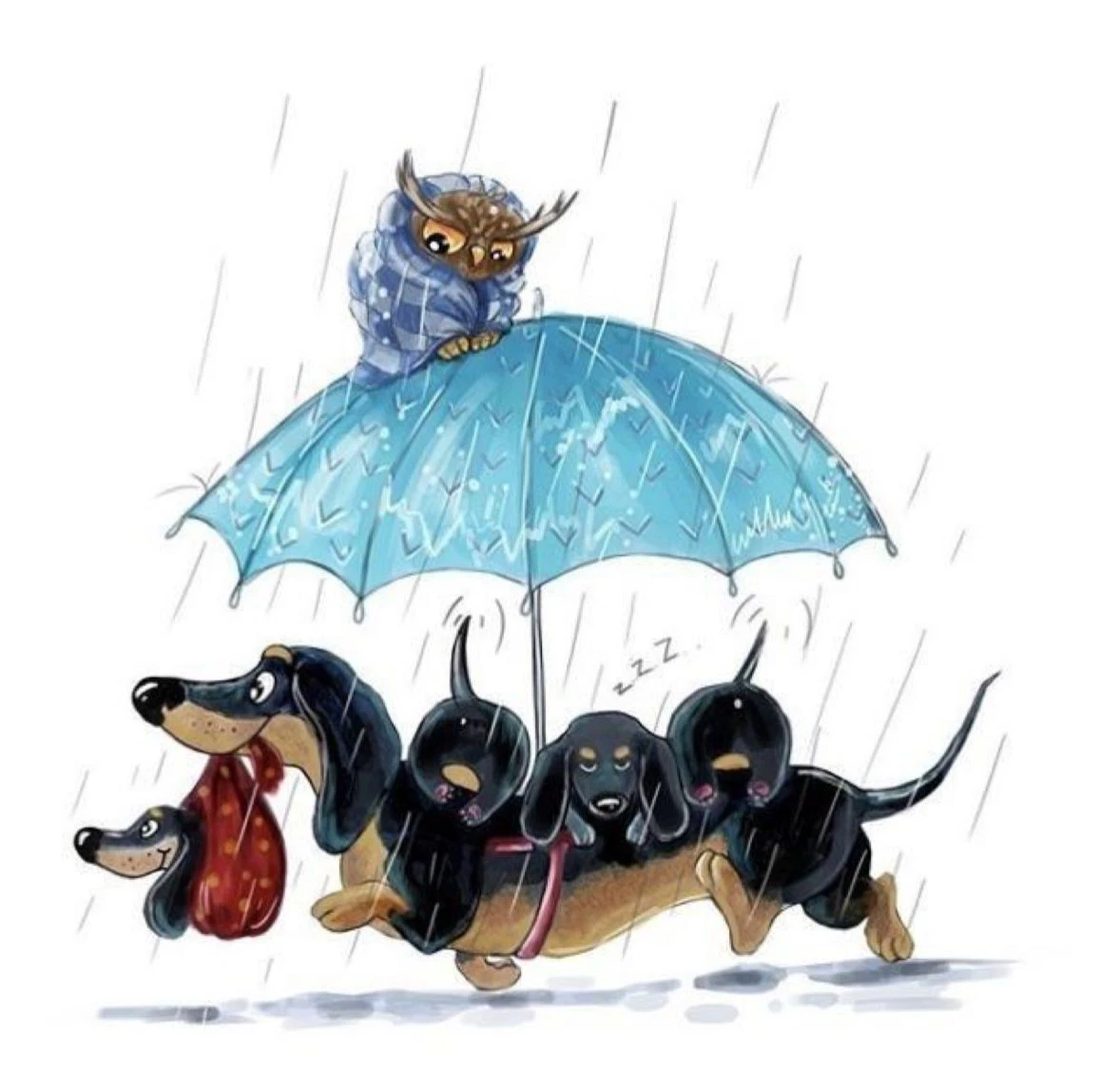 Animal Dog Transparent Silicone Rubber Stamp and Die Sheet Cling ...