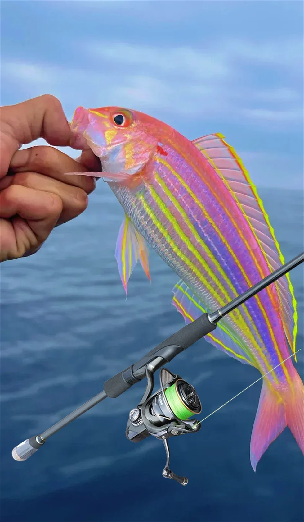 Mavllos Resolute Bass Безынерционная катушка для спиннинга | AliExpress