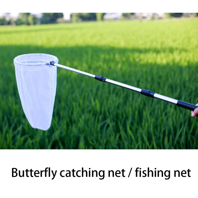 Butterfly Catching Equipment