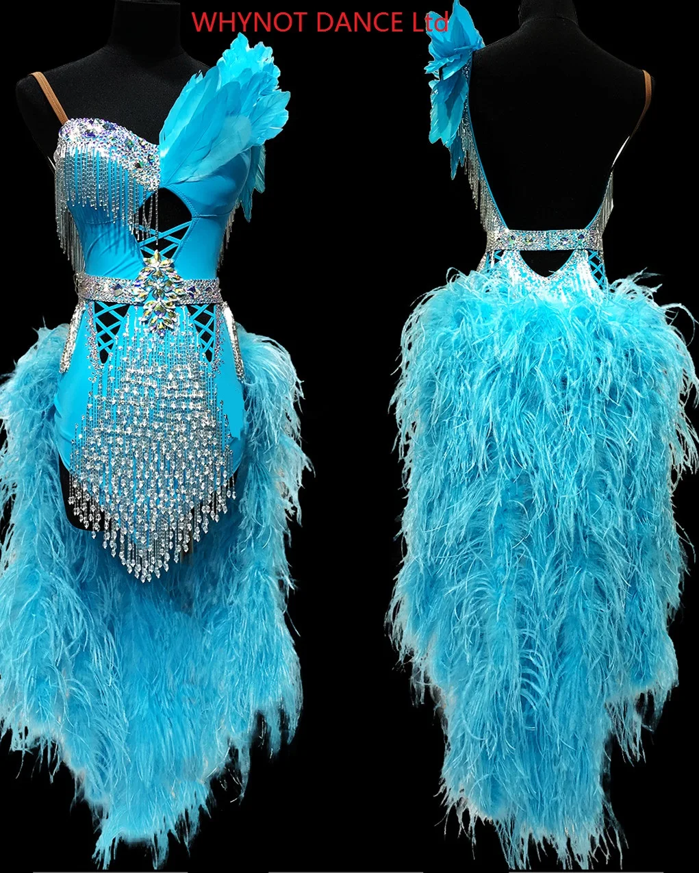 WHYNOT-DANCE-Ostrich-Feather-Party-Dress-Customized-Latin-Dance ...
