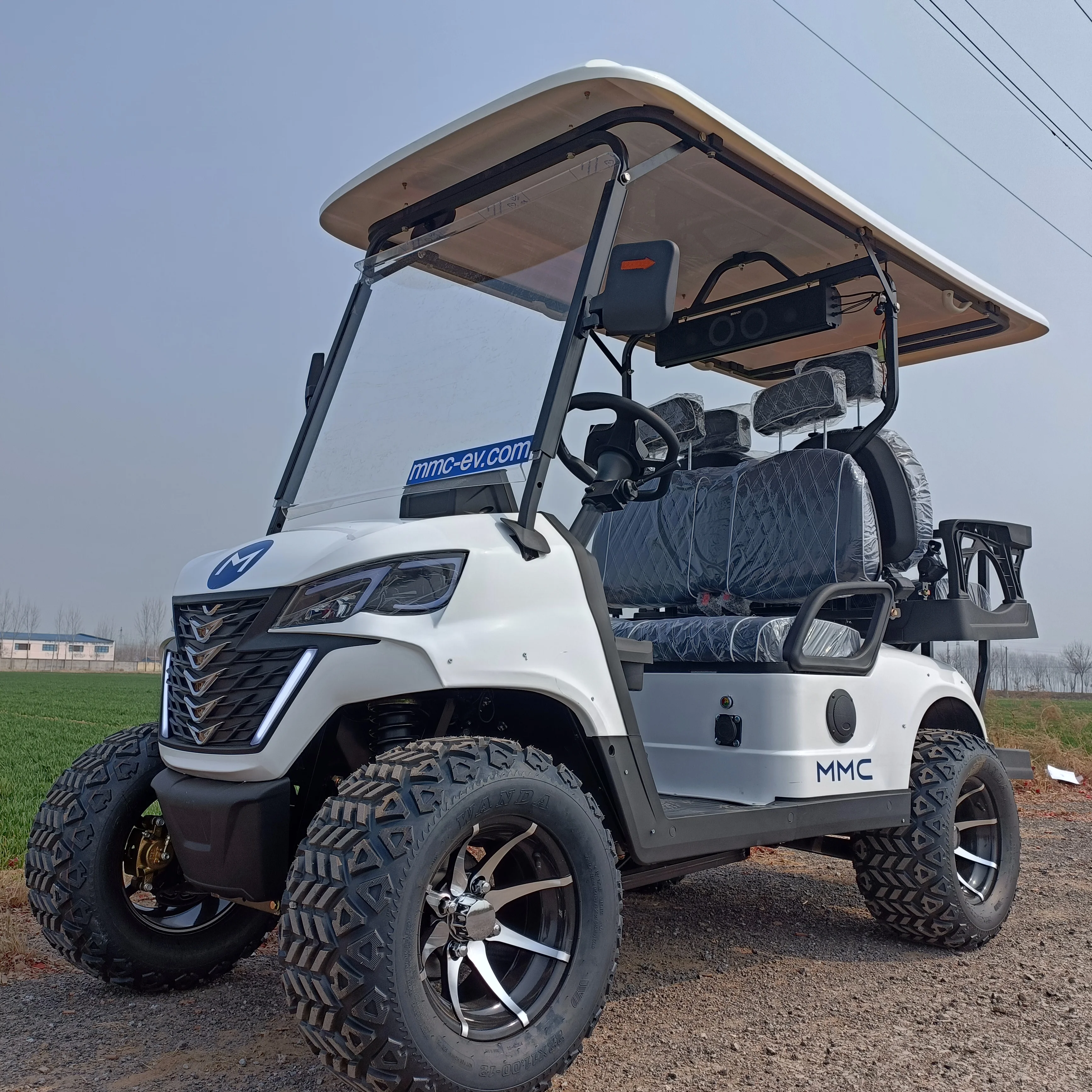 Standard-Tested-25km-h-2-2-Seats-Electric-Club-Golf-Carts-Off-road-Fast ...