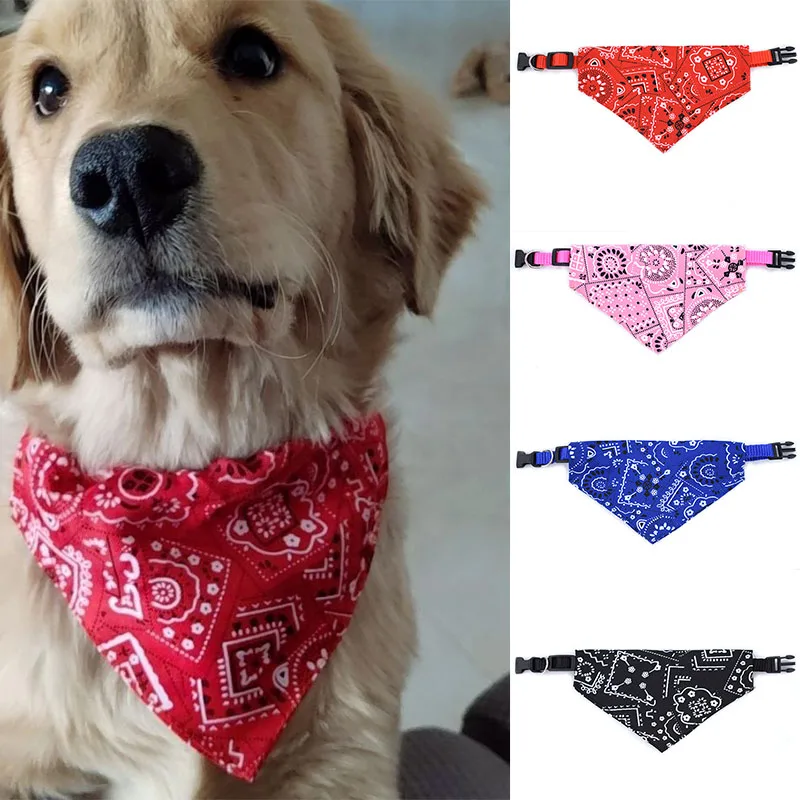 Décor de cou pour chien et chat, Bandage triangulaire réglable pour ...
