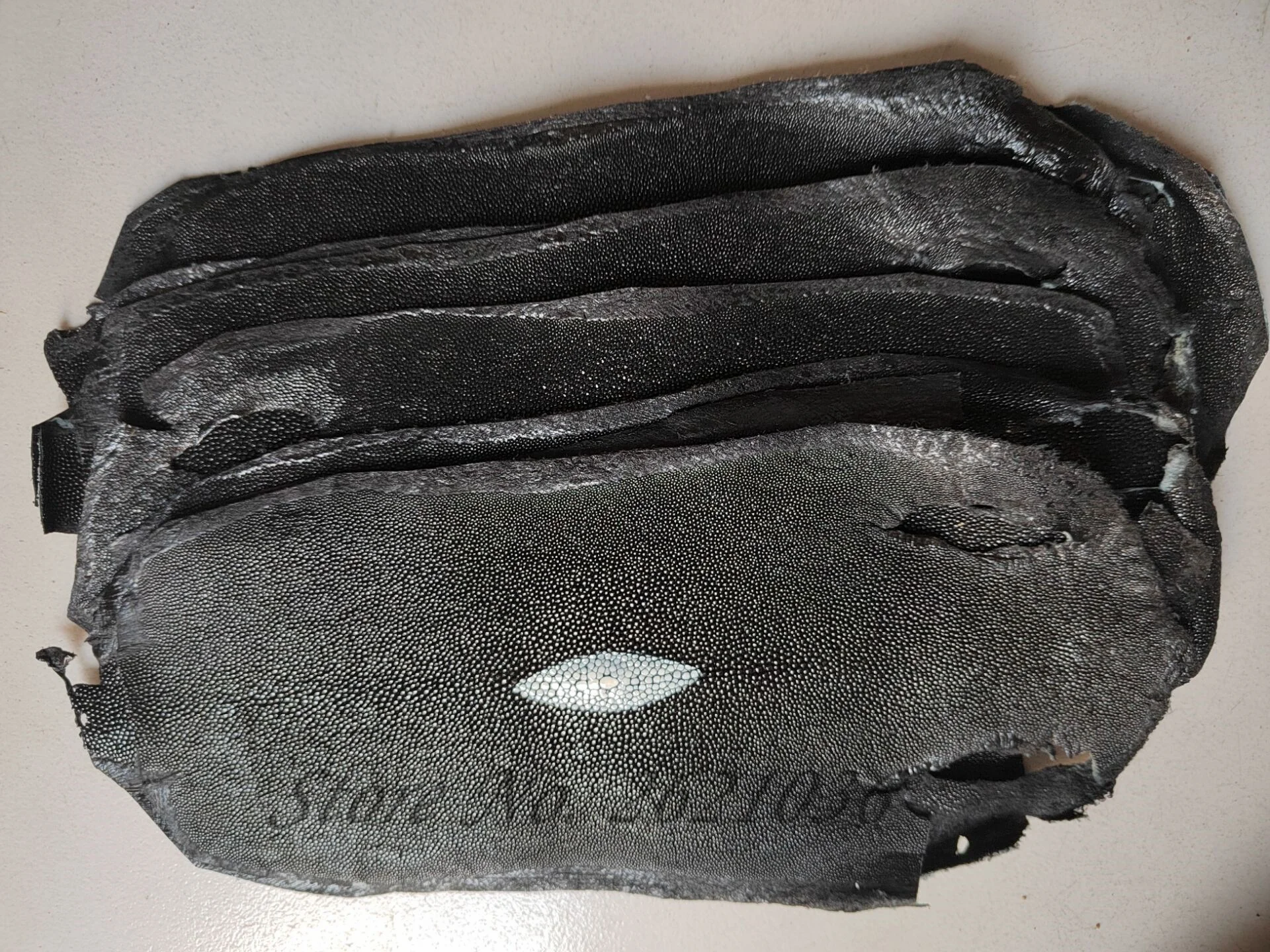 Ray Skin Genuine Stingray | Stingray Leather Genuine | Stingray Leather ...