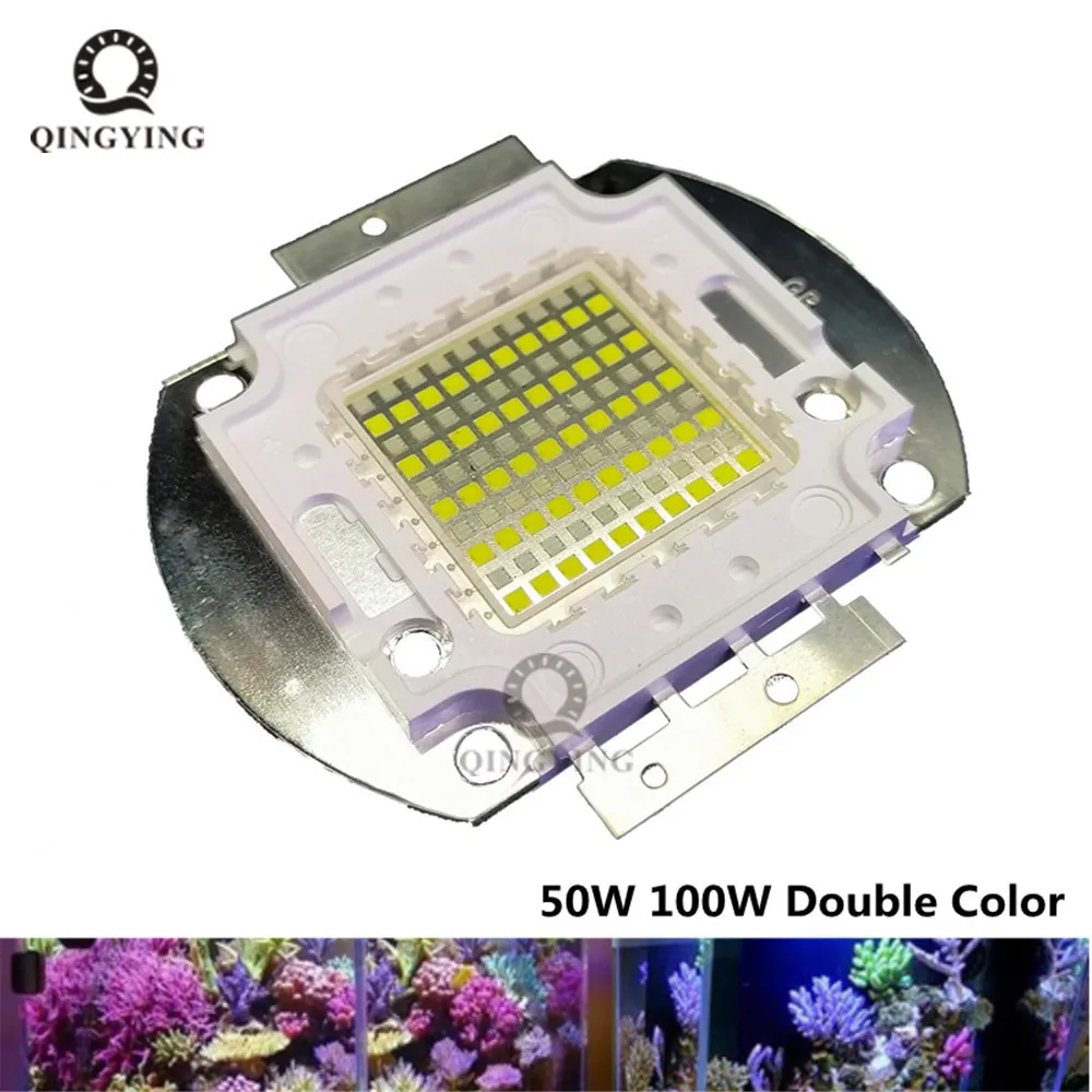 50W-100W-Double-Color-led-white-6000k-Royal-Blue-450nm-28-36V-High ...
