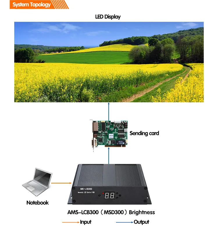 Store Home Products Feedback Brand story