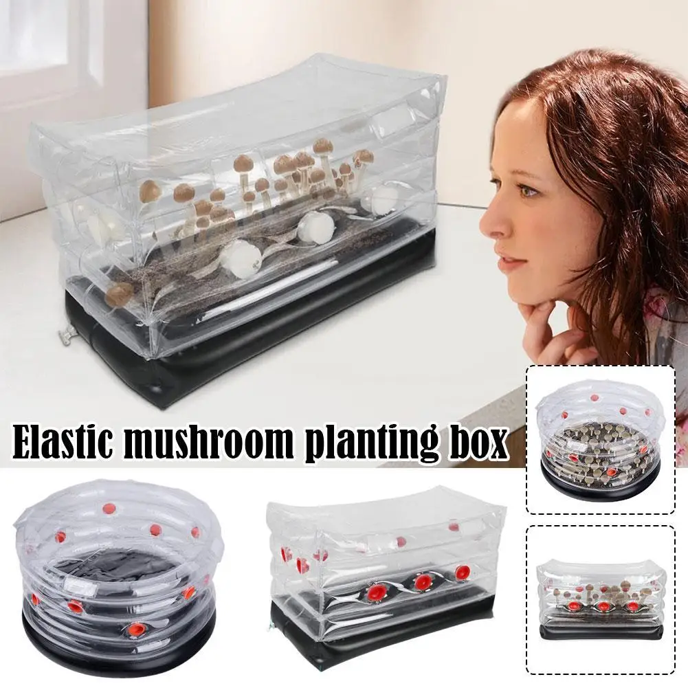 Mushroom Spawn Grow Bag Monotub Kit Inflatable Bag With Plugs And Filters For Fresh Air Exchange ...