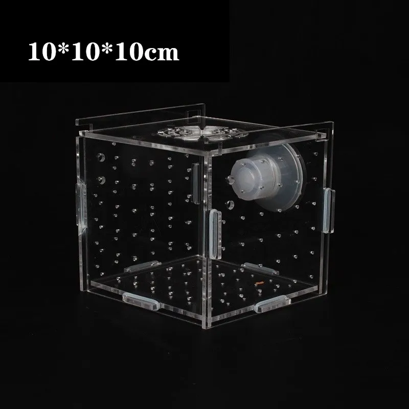 Boîte d'élevage de poissons - Mini - Acrylique - Transparent ...
