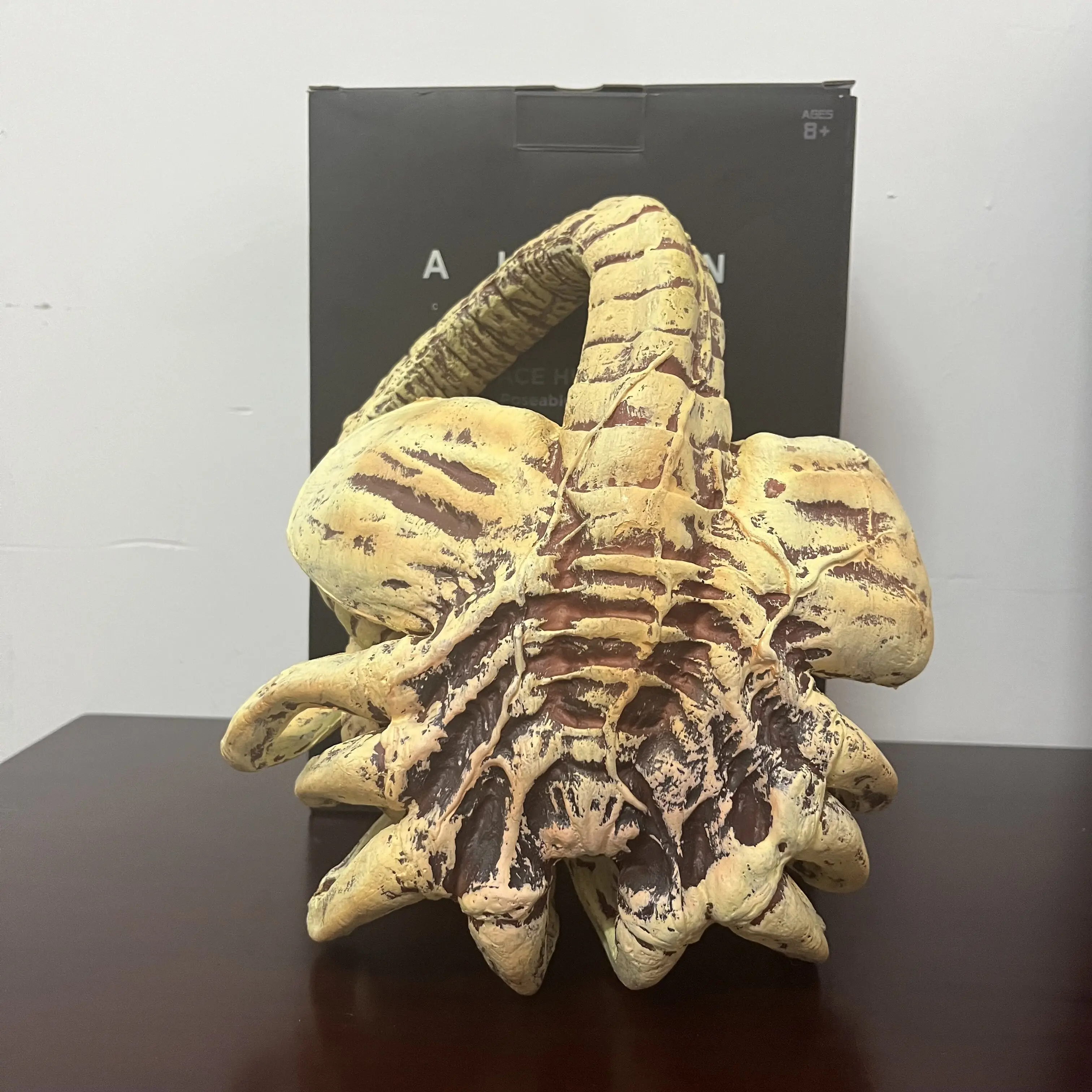 Xenomorph Facehugger