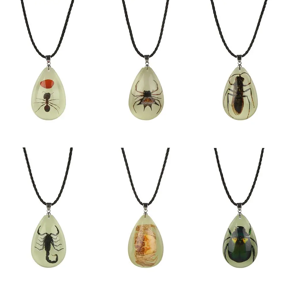 Natural-Insect-Pendants-Necklace-Resin-Scorpion-Crab-Chain-Necklace ...