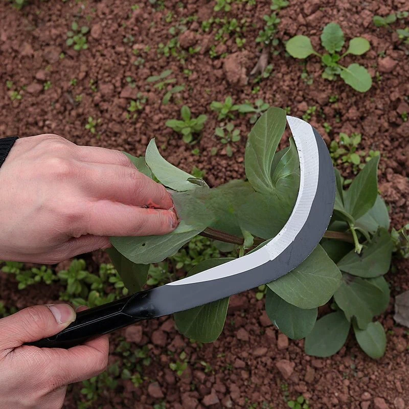 Sickle-integrated-iron-handle-banana-knife-for-agricultural-lawn-mowing.jpg