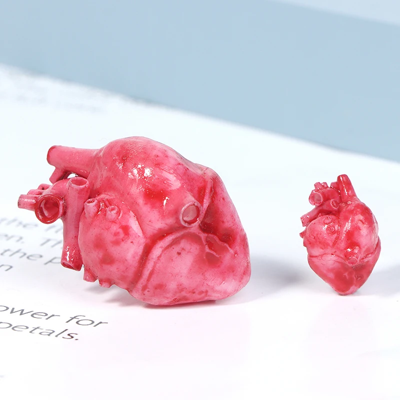 1-18-Scale-Resin-Human-Heart-Model-Realistic-Hand-Painted-Organ-Mold ...