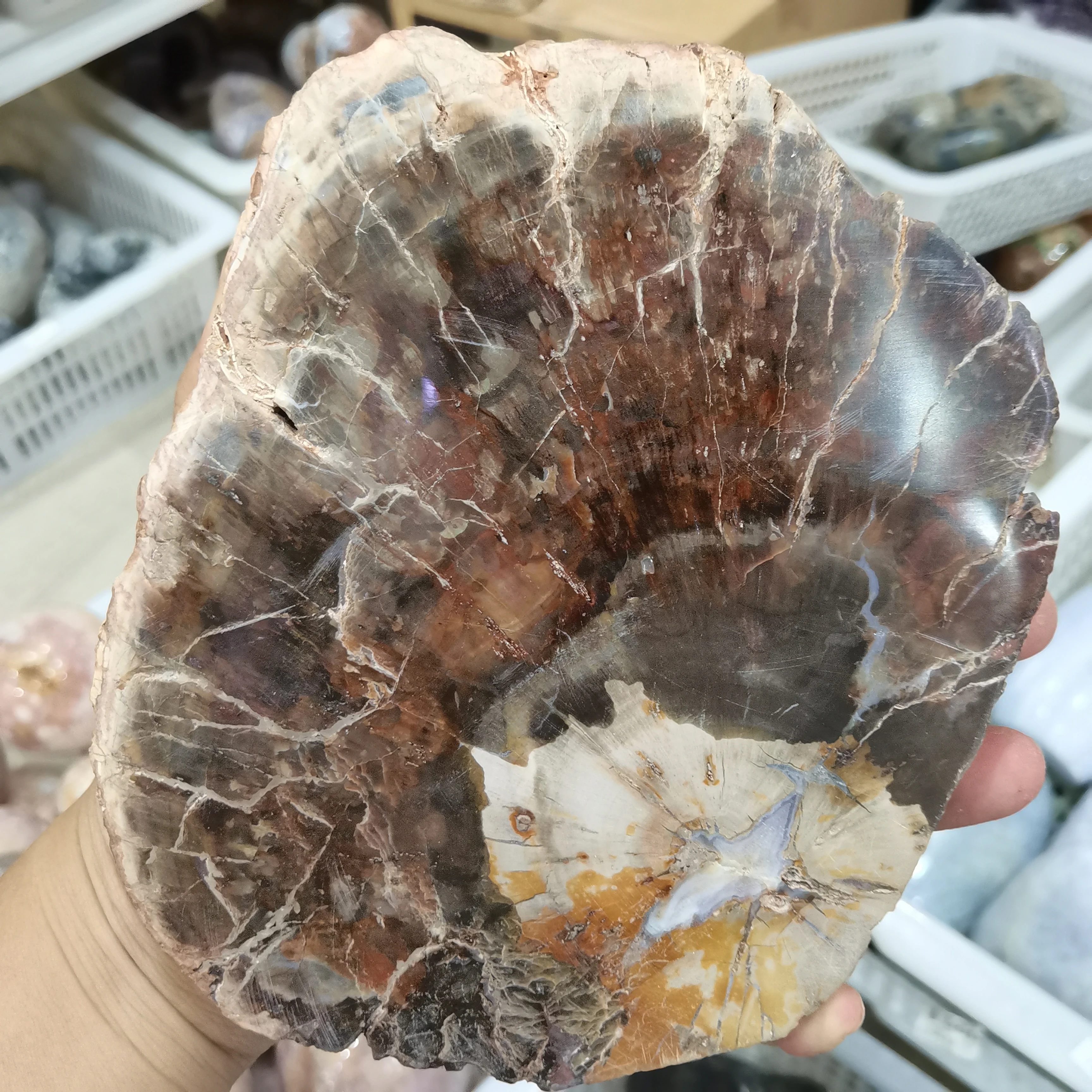 Natural Madagascar petrified wood crystal polish for furnishing pieces ...