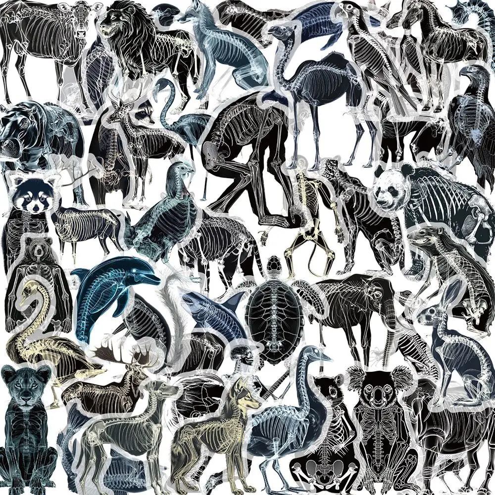10-50pcs-Cool-X-ray-Animals-Skeleton-Skull-Stickers-Transparent-PET ...