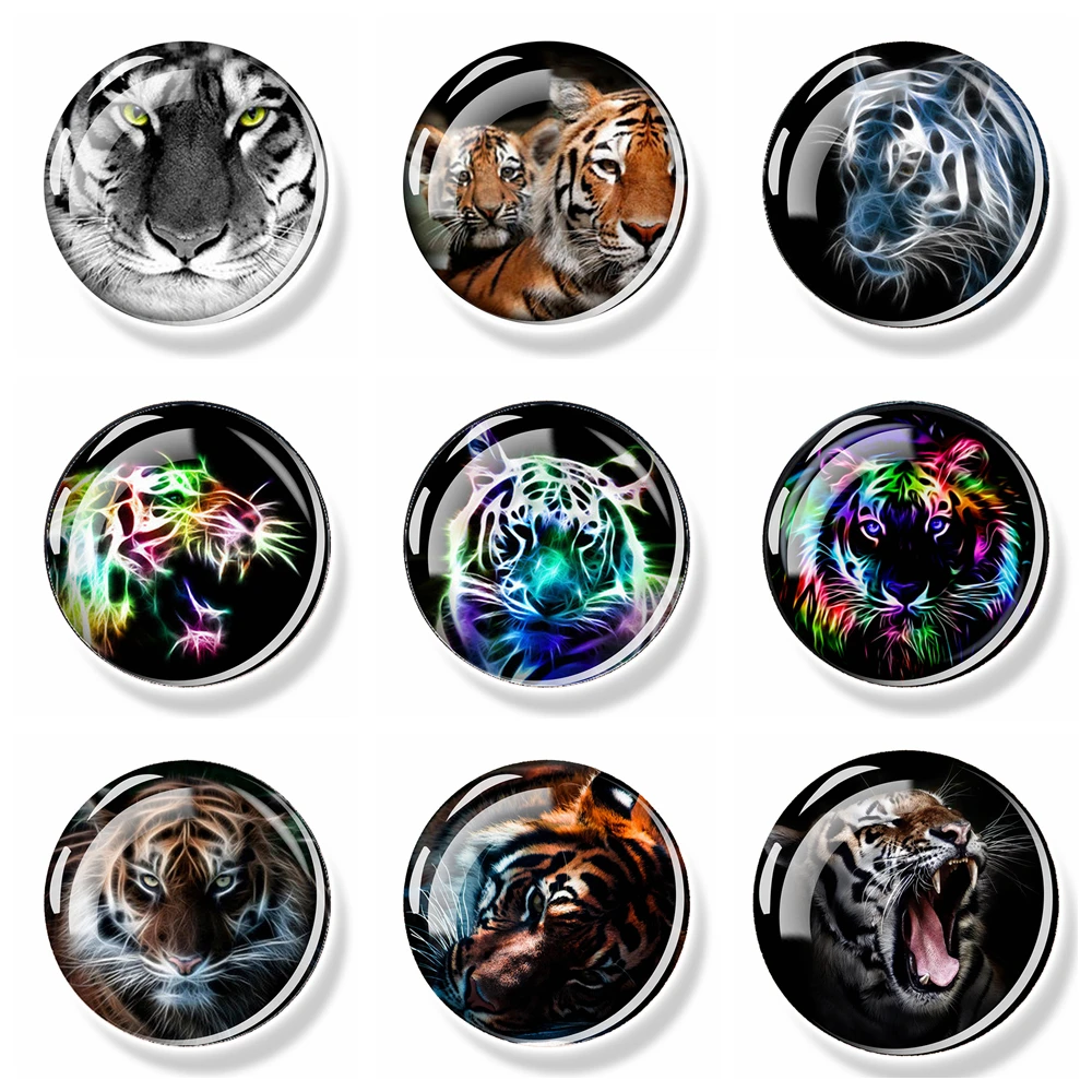 Tiger-Animal-Fridge-Magnet-Art-Home-Decor-Refrigerator-Magnets-Glass ...