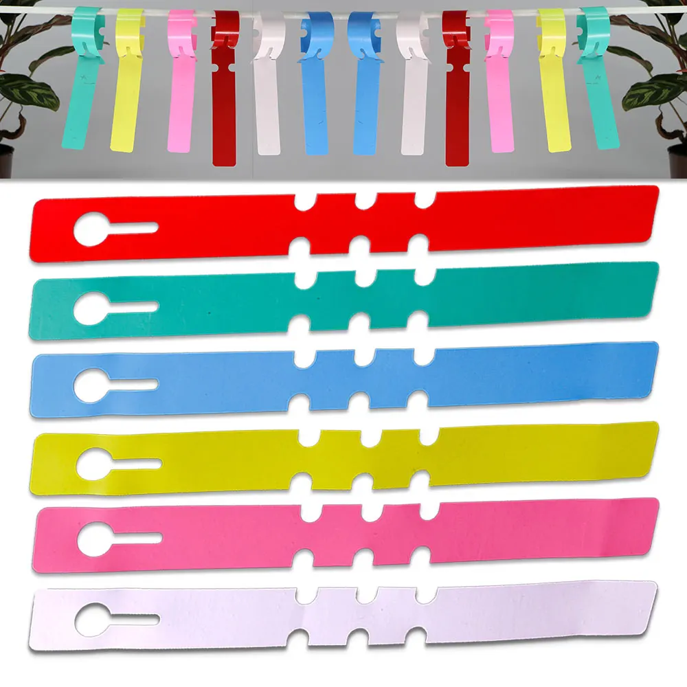 50 100 sztuk wielokrotnego użytku roślina ogrodowa przedszkole wisząca ...