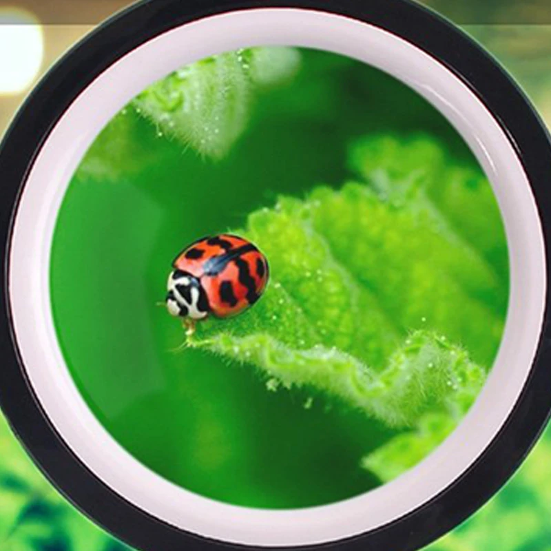 Magnifying Glass 20x Large Magnifier With Light Led Illuminated Magnifying Glass 20x Large Magnifier With Light Led Illuminated