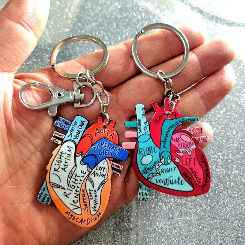 2023-Anatomical-Heart-Diagram-keyring-Telemetry-Cardiology-Nurse ...