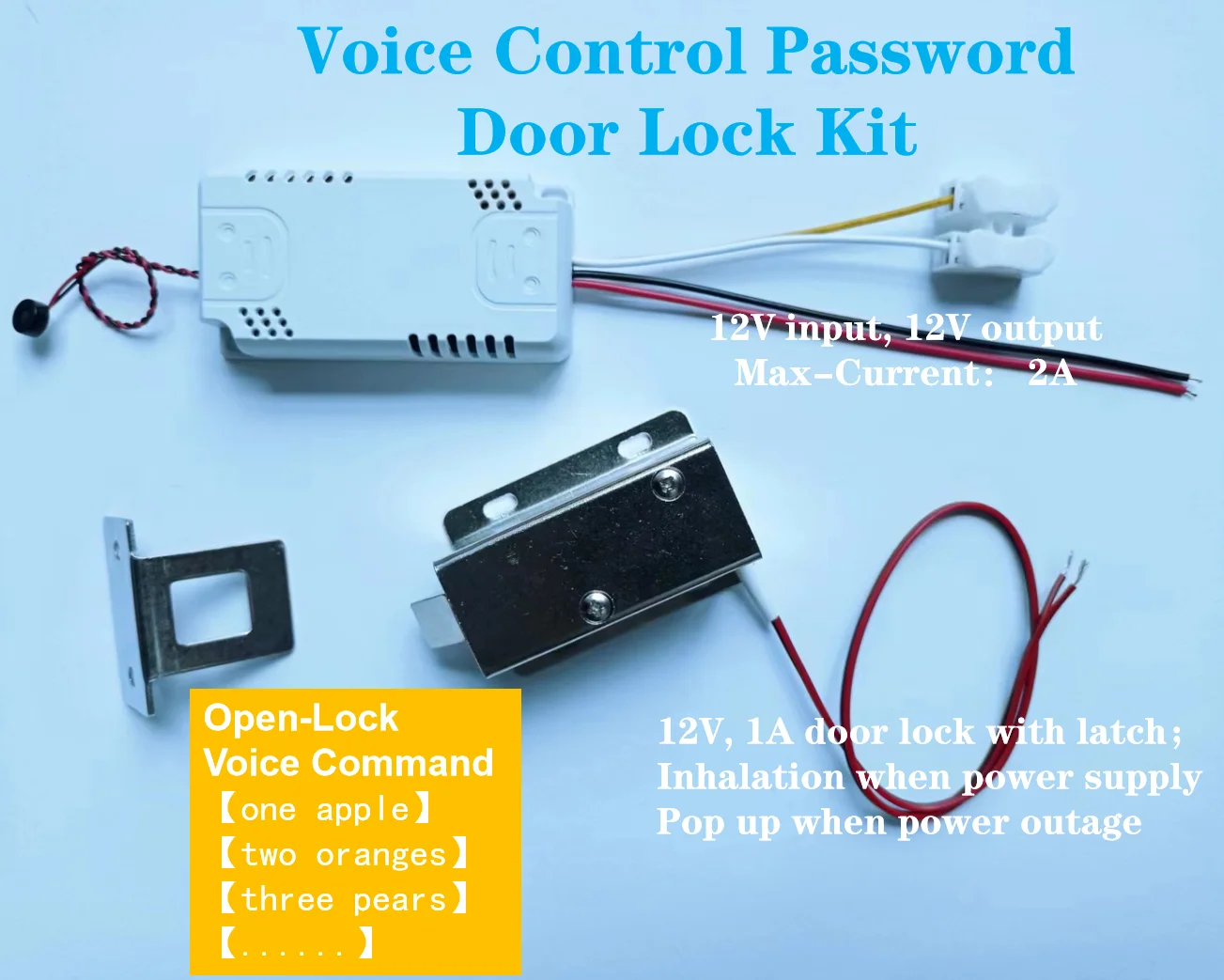 DYVL01-Voice-Lock-Voice-Recognition-Controller-Password-Open-Door ...