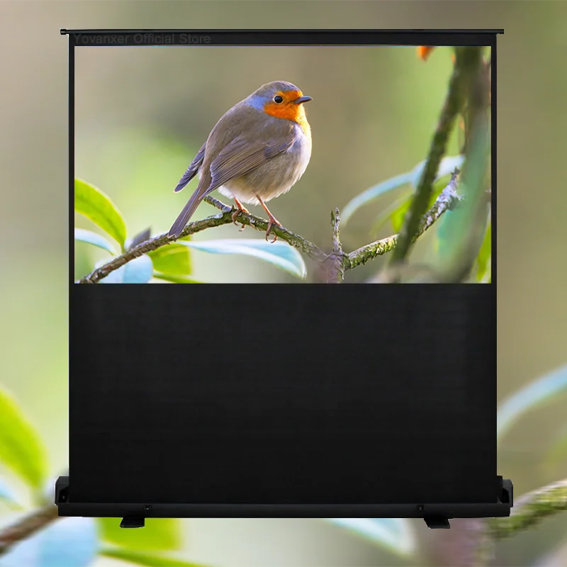 100-Inch-Floor-Standing-Pull-Up-Portable-Projector-Screen-For-Home ...