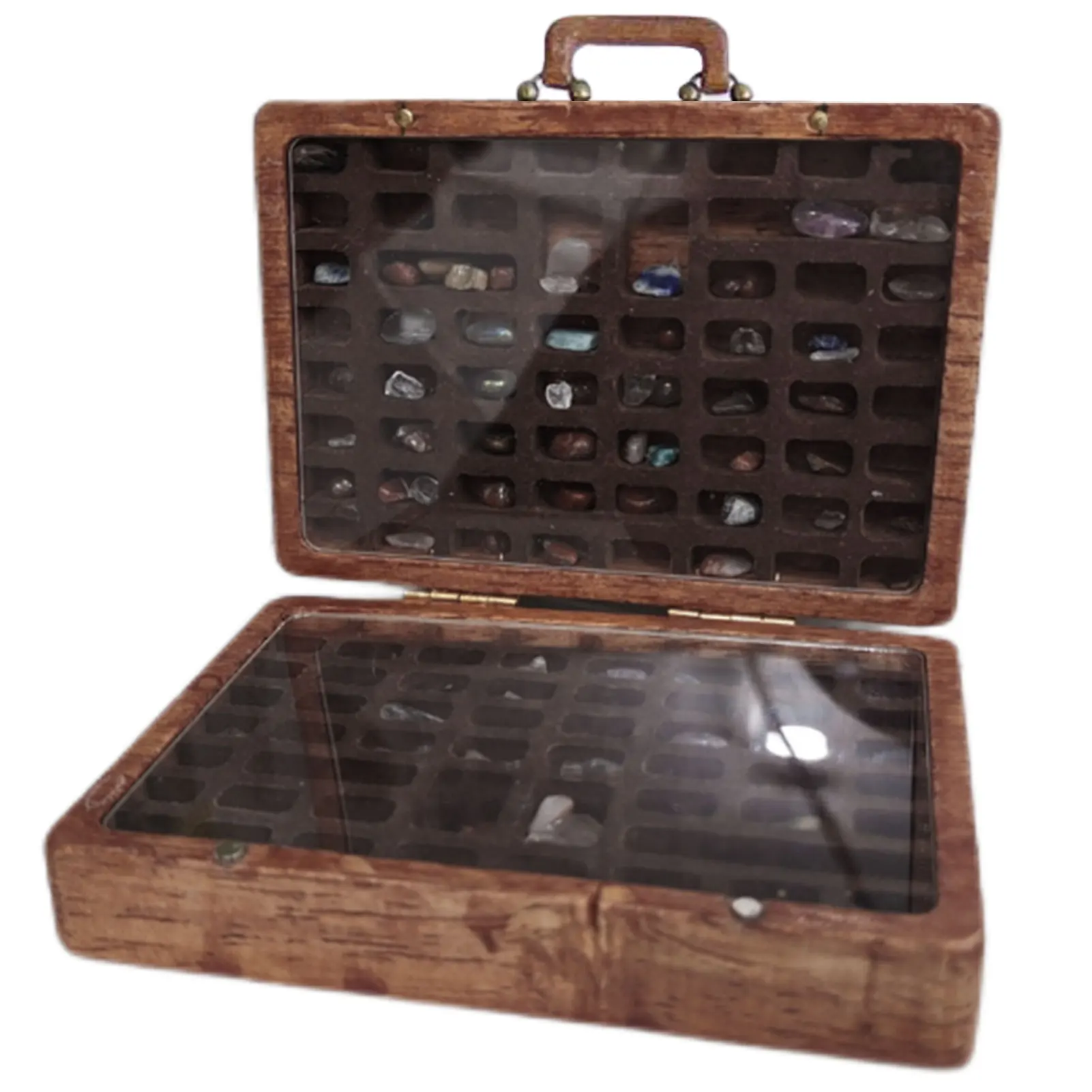 Stone Collection Suitcase Rock Collection Box for Kids Rock and Mineral ...