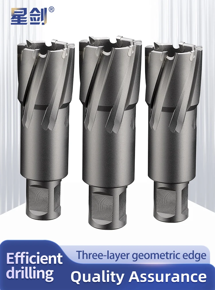 Carbide-Tipped-Annular-Cutter-with-Weldon-Shank-Diameter-14-30mm-Depth ...