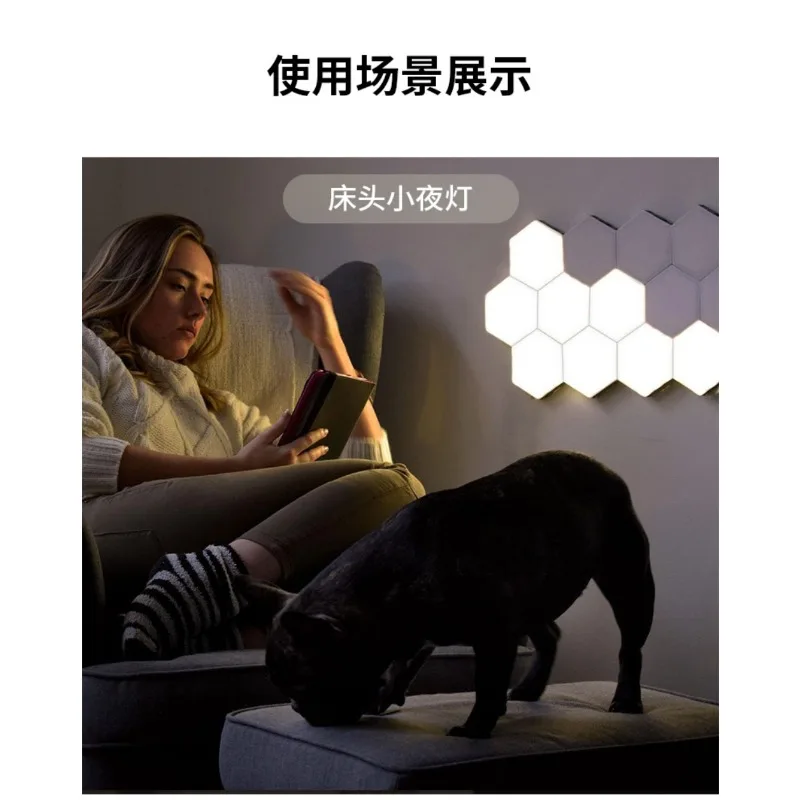 Induction Lighting Systems