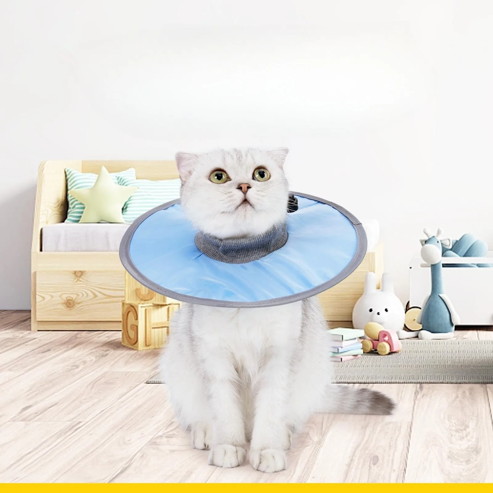Why This Adjustable Cat Surgery Cone Saved My Kitty’s Recovery — And ...
