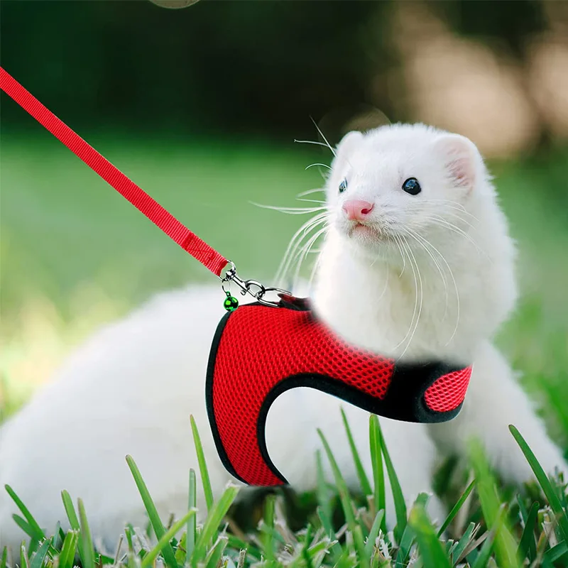 Mesh-Breathable-Ferret-Bunny-Harness-Leash-Set-for-Small-Animals-Rabbit ...