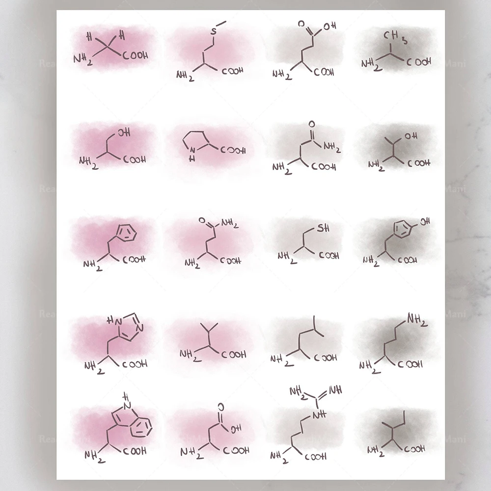 Organic Chemistry Art