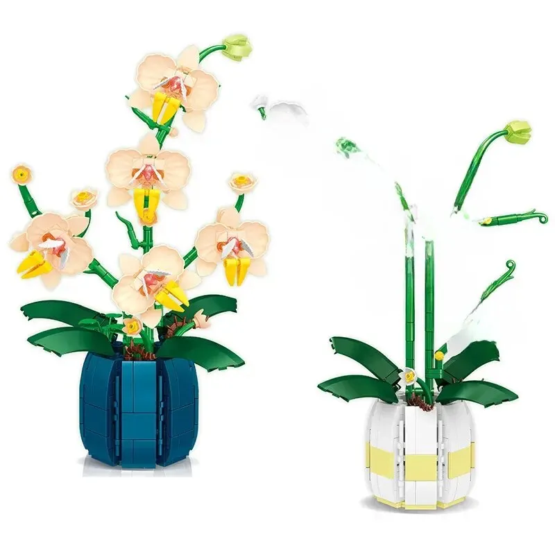 Store Home Products Outdoor Fun Feedback