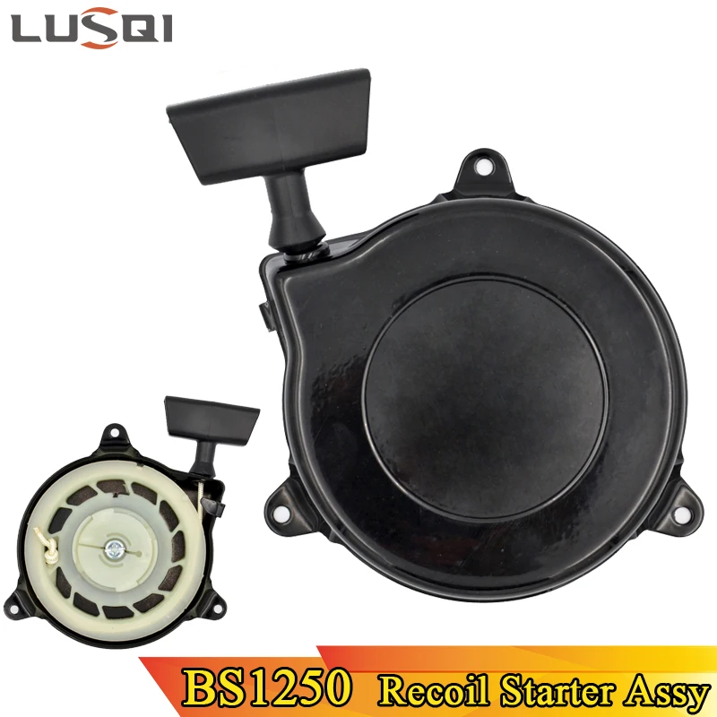 LUSQI-Briggs-Stratton-499706-690101-091212.jpg