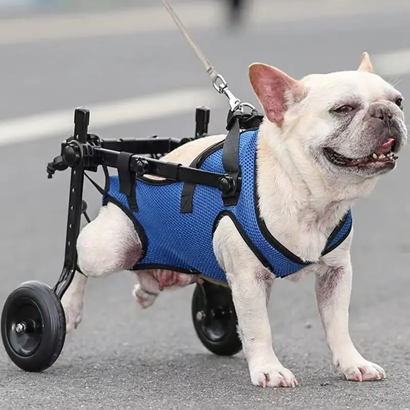 Canine Mobility Cart