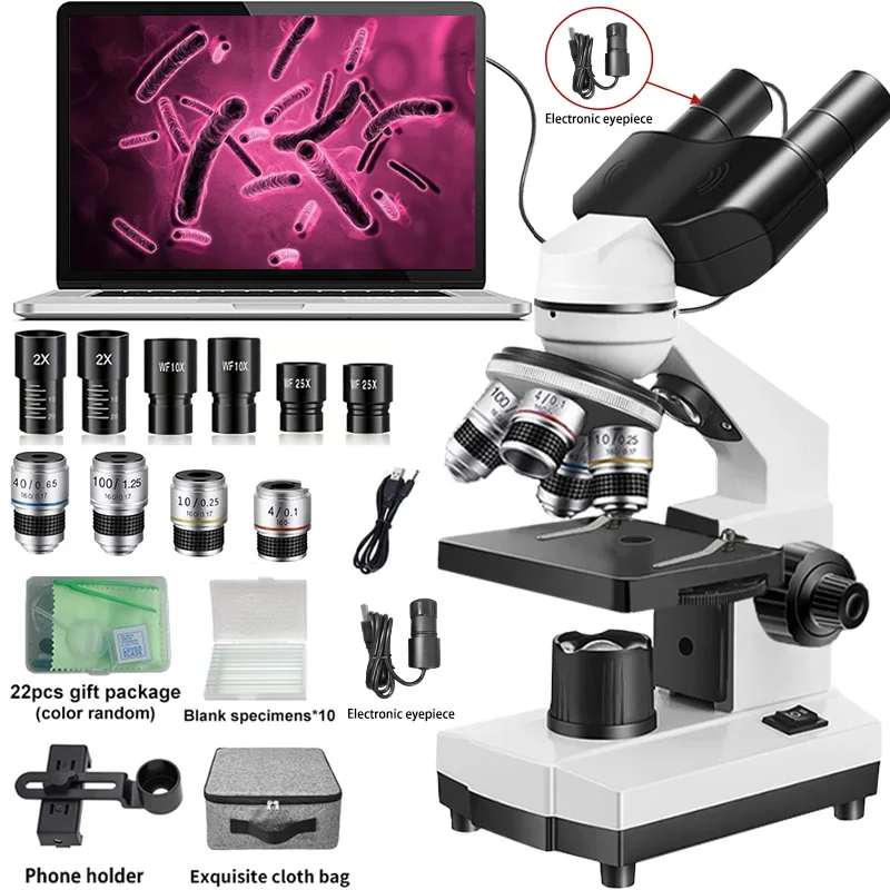 What You Need to Know About Microbiology Microscopes for Scientific ...