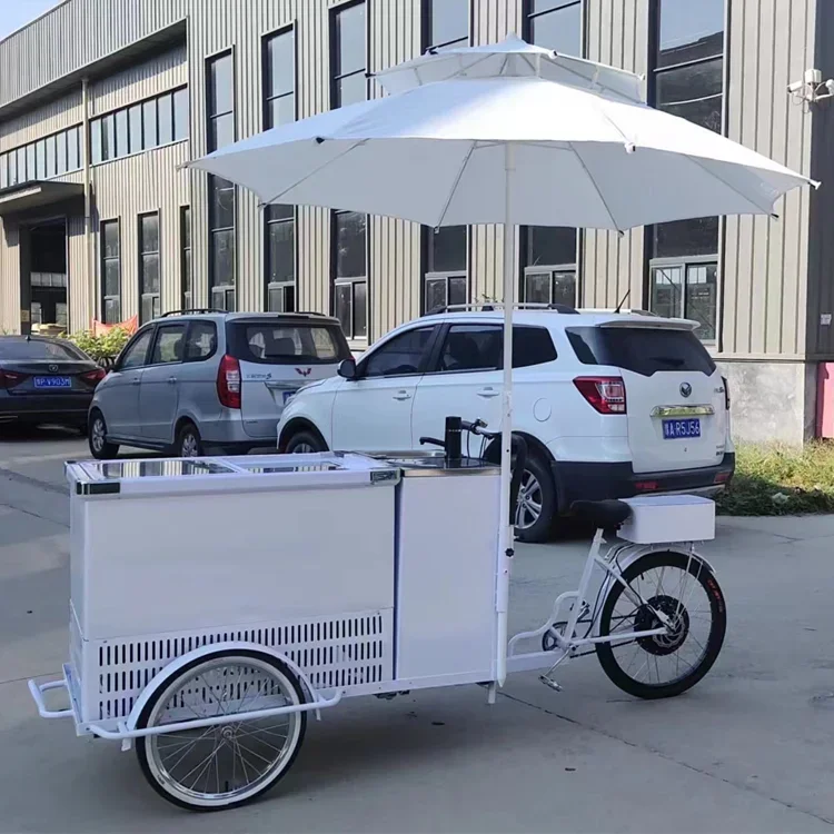 Freezer-Electric-Scooter-Electric-Tricycles-3-Wheel-Electric-Cargo-Bike ...