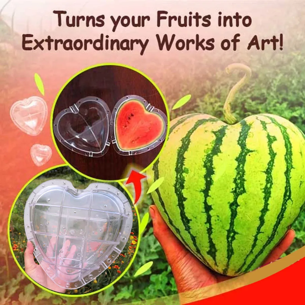 Garden Supplies Forming Shaping Fruit Plant Growing Tray vegetable ...