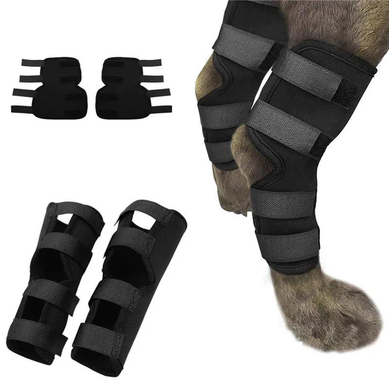 Dog-Leg-Brace-Pet-Leg-Support-Supplies-Dog-Leg-Protector-Dogs-Recovery ...