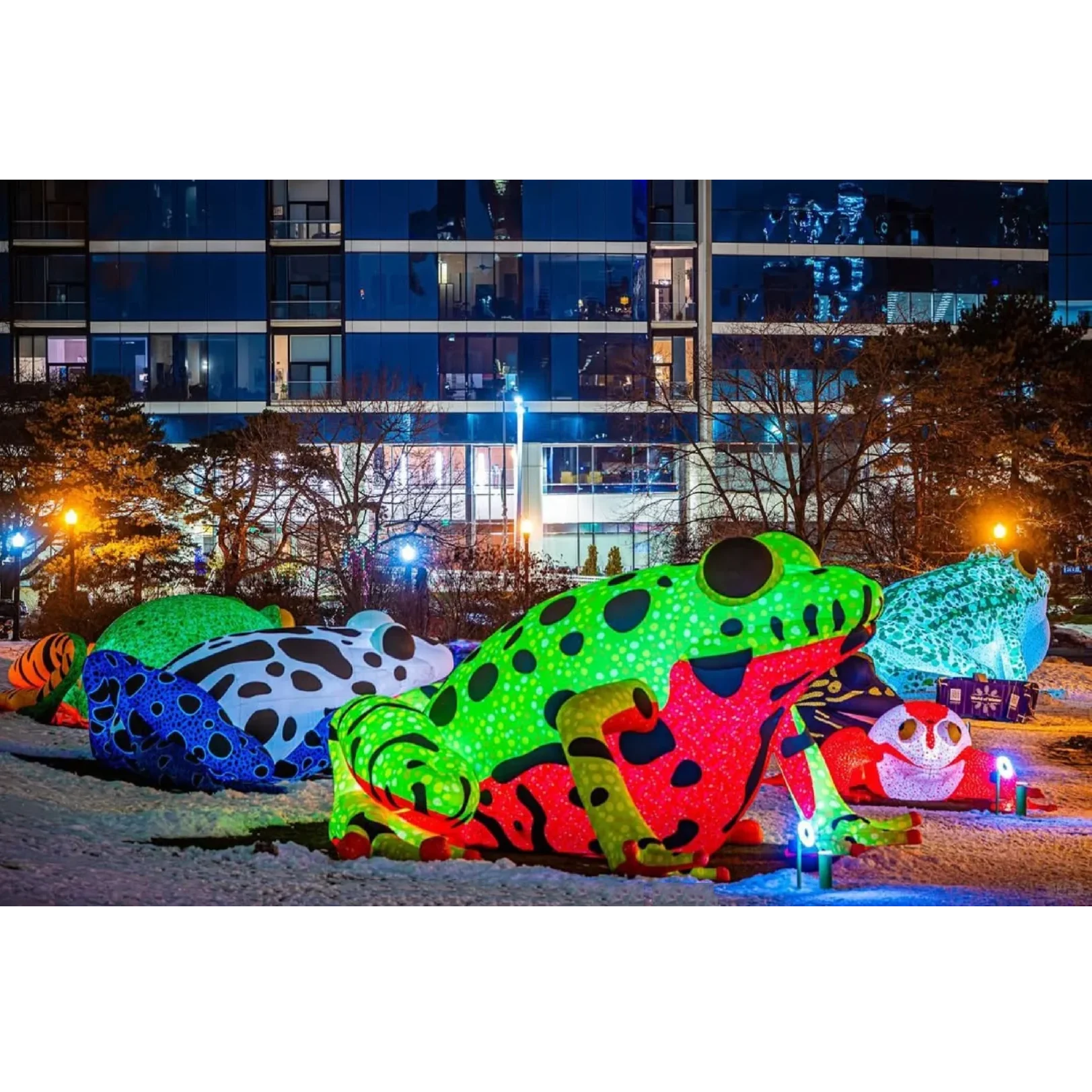 Giant Inflatable Frog Air Blow Lifelike Animal Mascot Balloon with ...