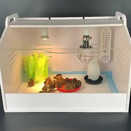 Imported Auto Temperature Control Brooder for all Bird's 78 * 40 * 42 cm | Daraz.pk