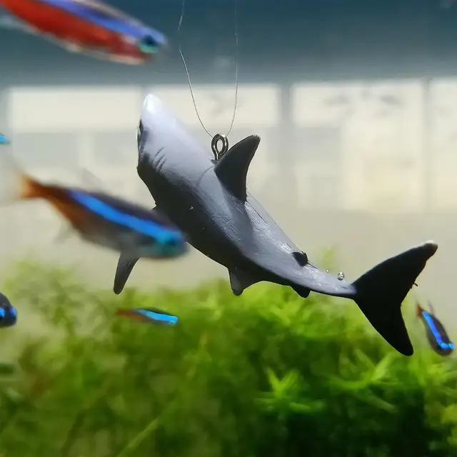 Mini Tiburones Para Peceras