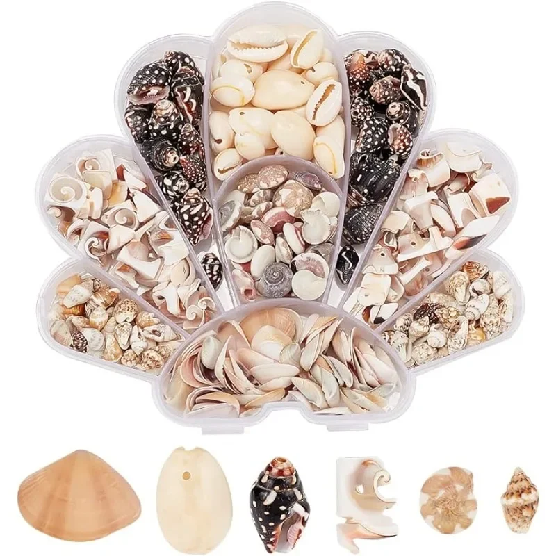 370pcs Natural Spiral Shell Beads 5~16mm 6 Styles Small Seashells Ocean ...