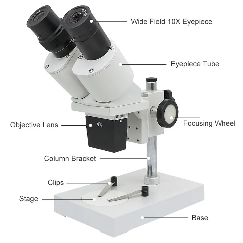 Binocular Microscope Diagram